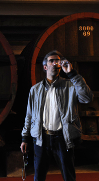 Informe Especial: Carmelo, su pasado, tradición y futuro ...