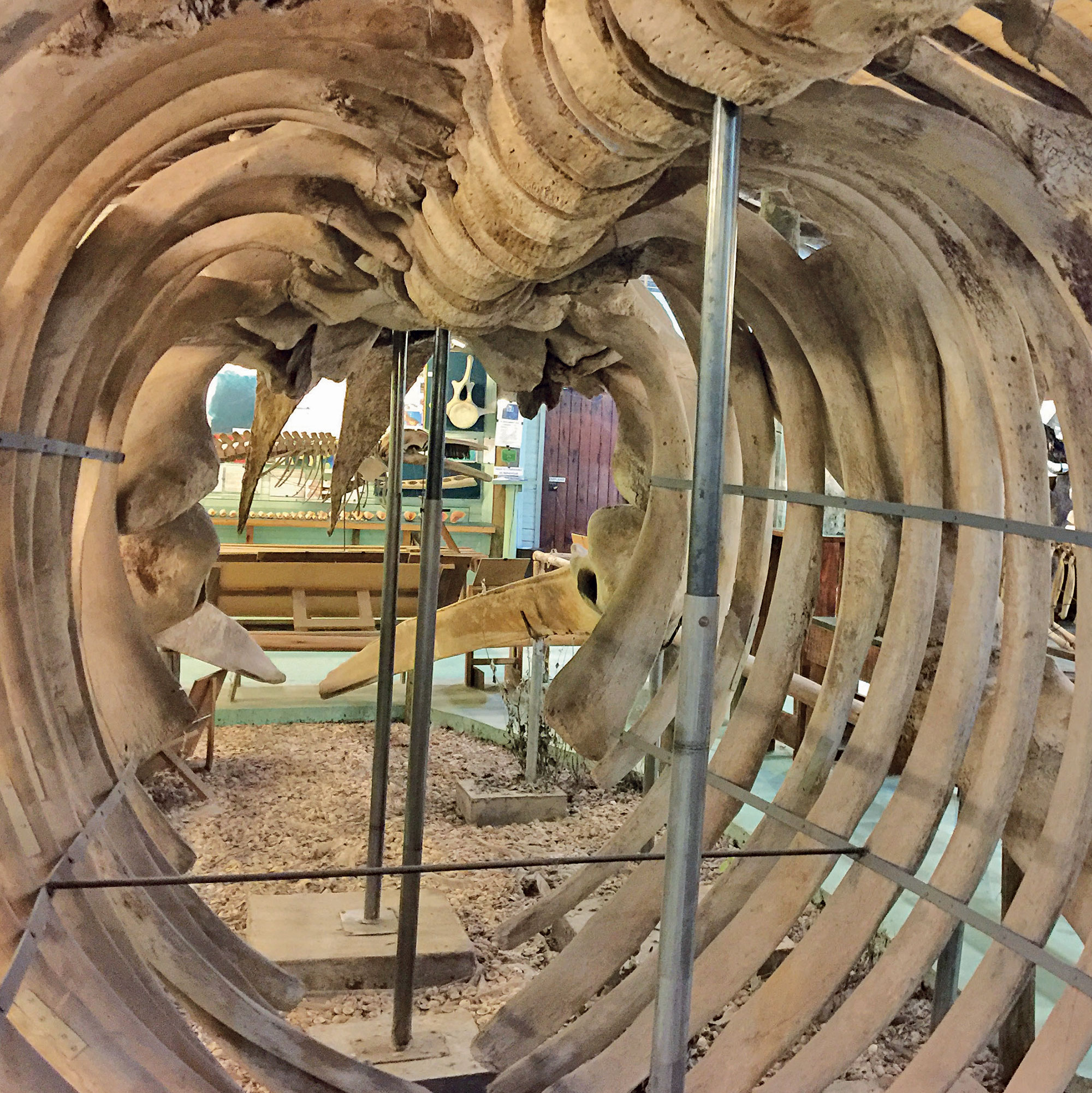 Museo del Mar - PuntaDelEsteInternacional.com