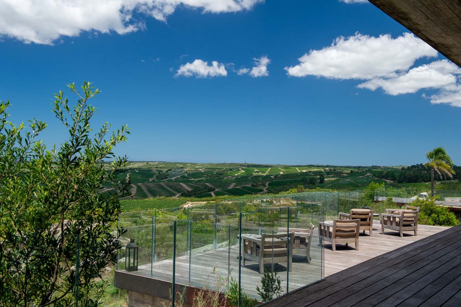 Restaurante de Bodega Garzón - El arte de lo simple