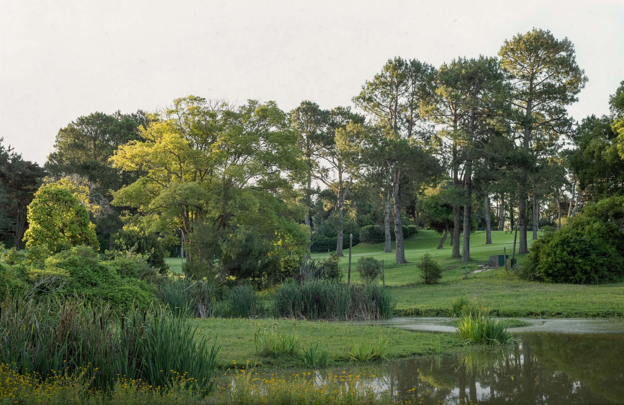 Descubriendo la exclusividad de Aura en Punta del Este: un sueño hecho realidad ...